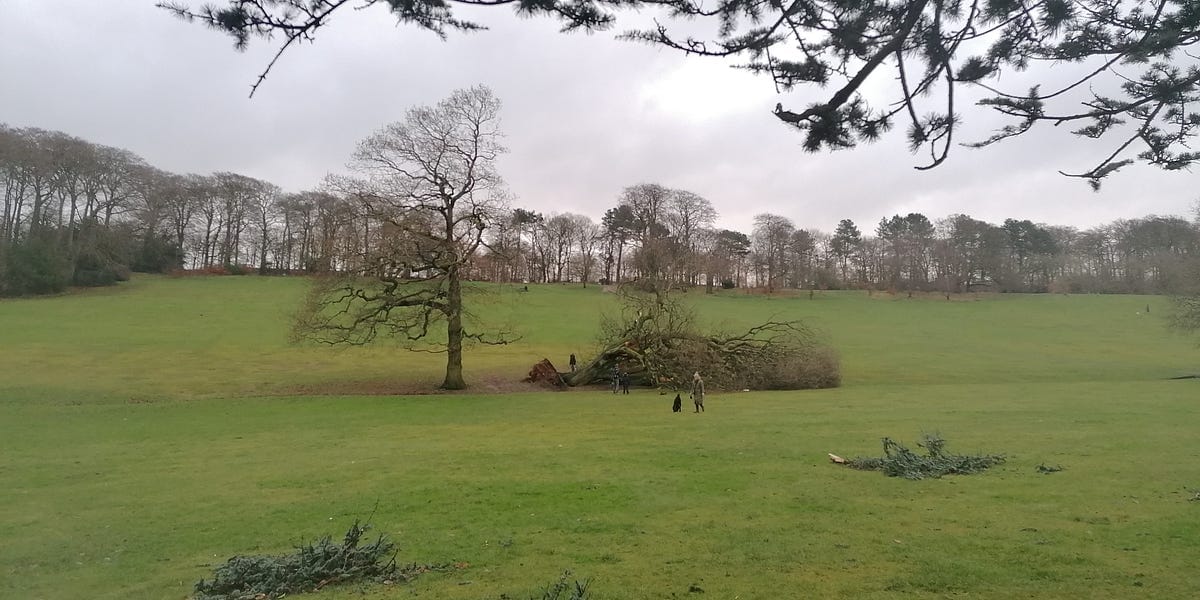 Storm Darragh forges path of destruction - by The Dispatch