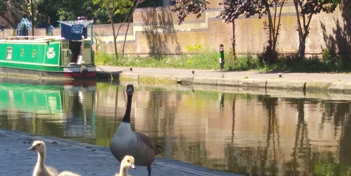 Brace for Storm Ciarán - by The Dispatch
